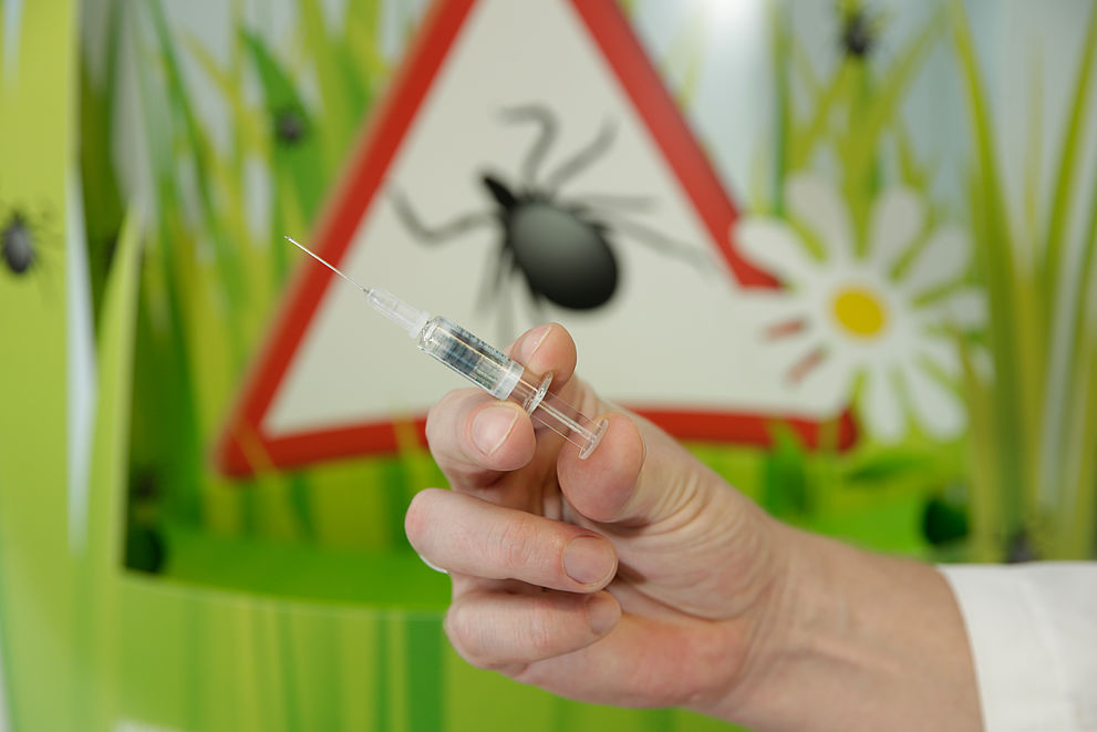 Gesellschaft für Virologie (GfV) rät: Spätestens im März zur FSME ...