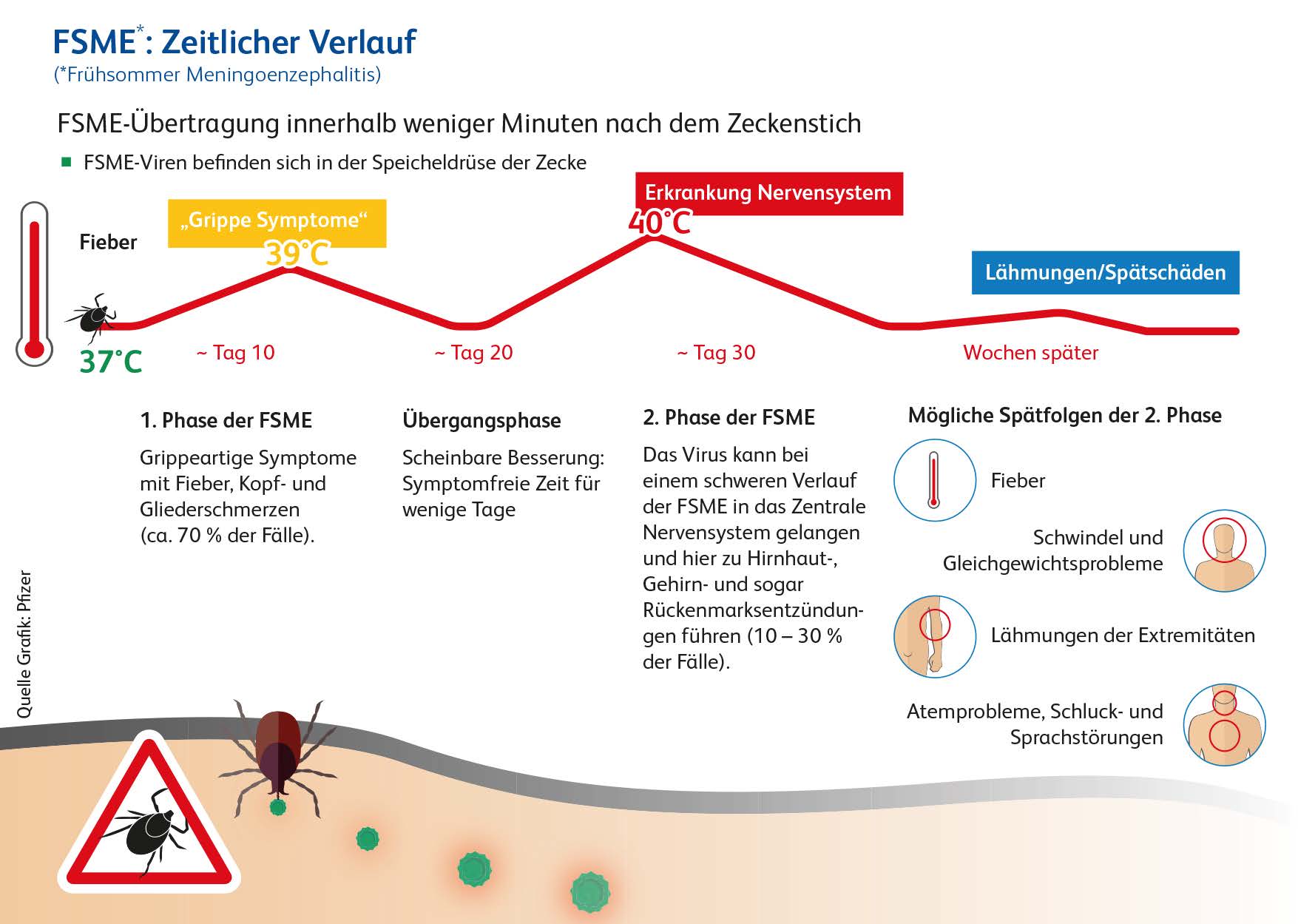 Infografik FSME Verlauf | Zecken.de