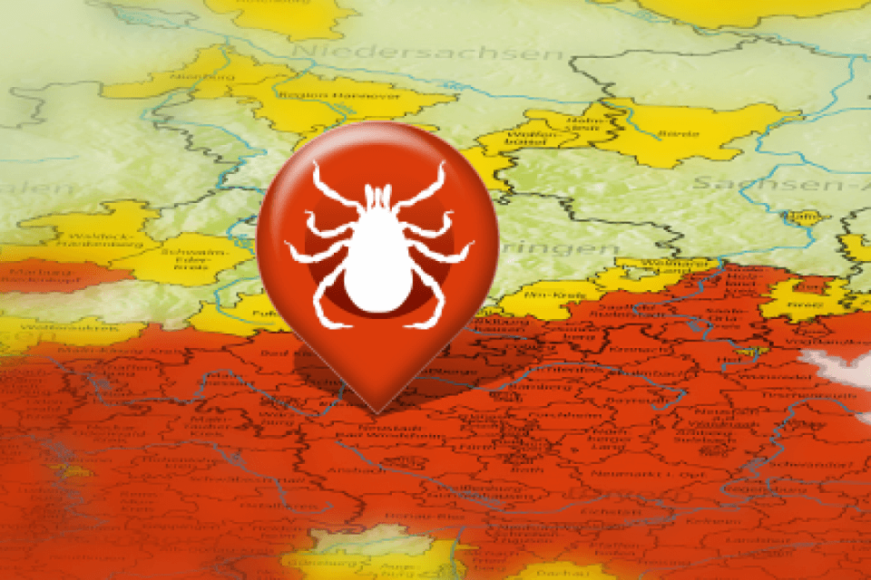 Übersichtskarte FSME-Risikogebiete in Deutschland | Zecken.de