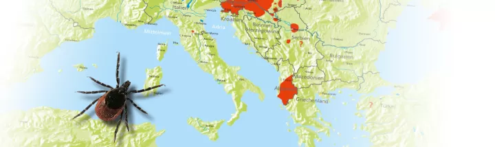 FSME-Risikogebiete in Europa | Zecken.de